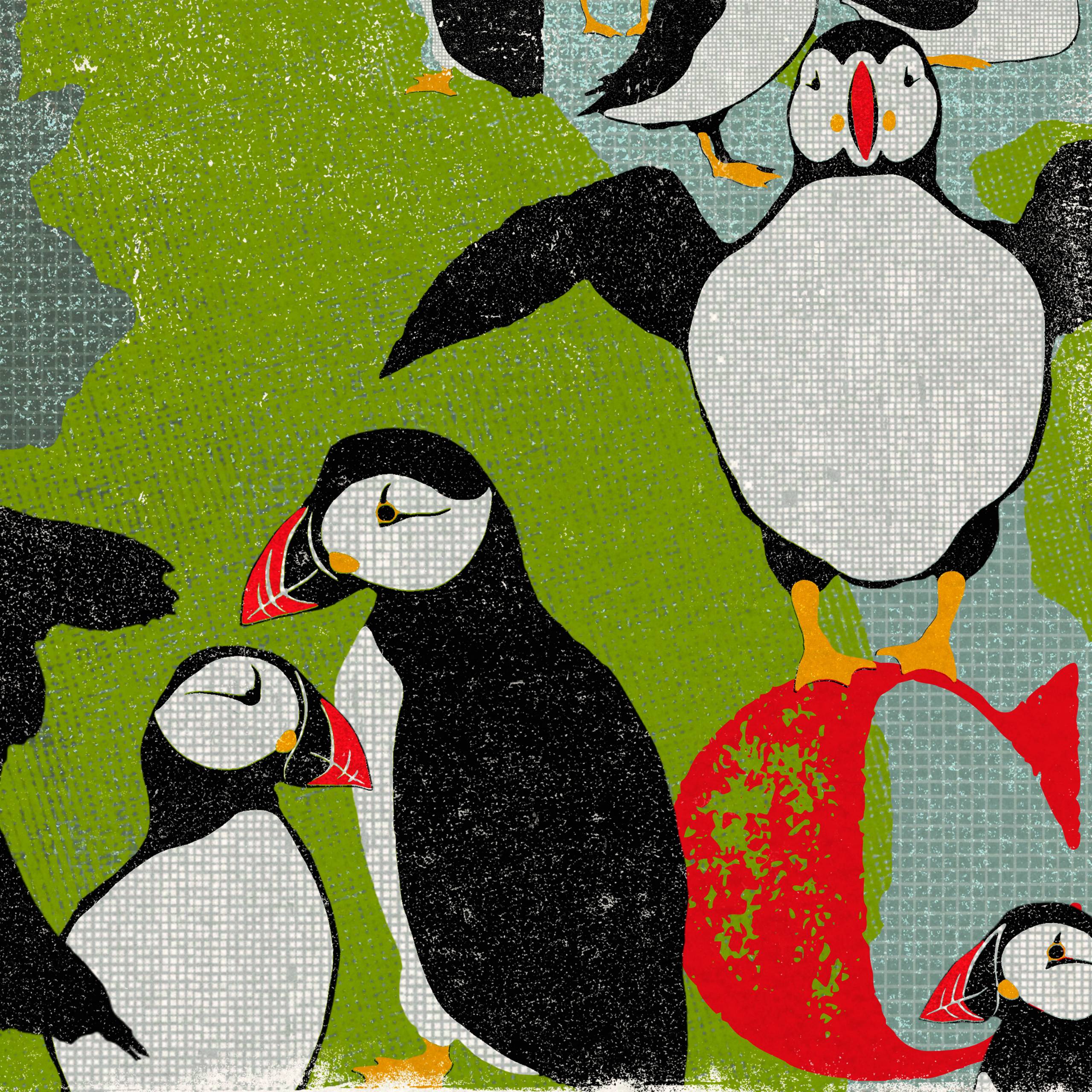 A Circus of Puffins Print - Graphic Art By Miraphora and Eduardo at ...